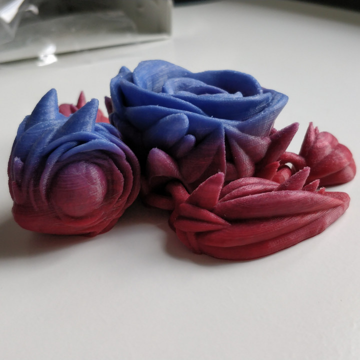 3D Print of Roseurtle (Rose Turtle) by mallemagic