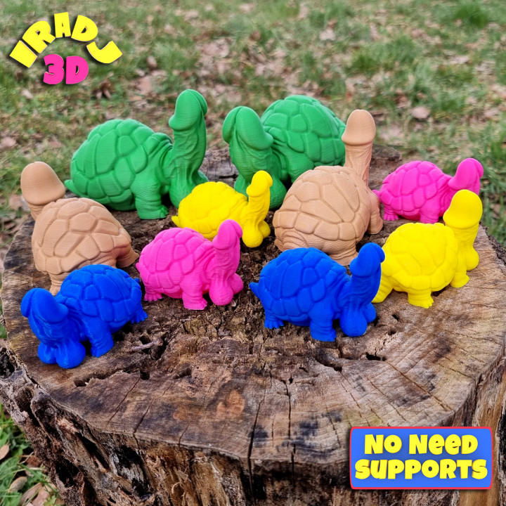 3D Printable Dicky Turtle V8 by iradj3d