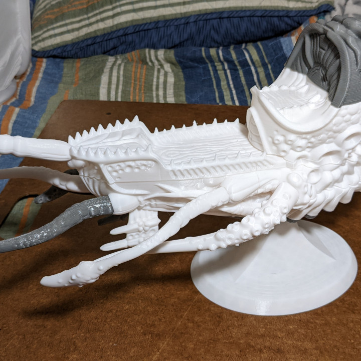 3D Print of Space Nautilus Astral Ship (large Version) by Curtistopheles