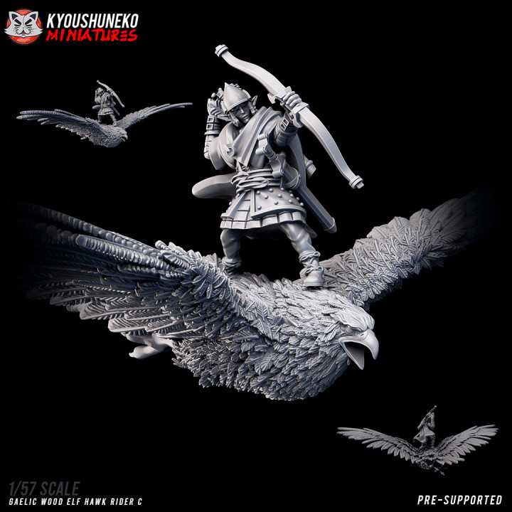 3D Printable Gaelic Wood Elf Hawk Rider C by Kyoushuneko Miniatures