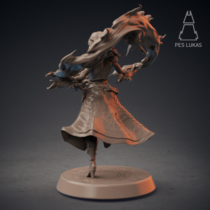 3D Printable Half-Elf Sorcerer by Pes Lukas