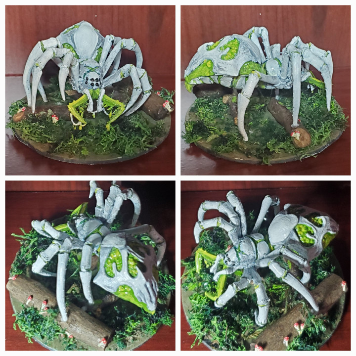 3D Print of Giant Spiders + Creep Spider by Pharasma