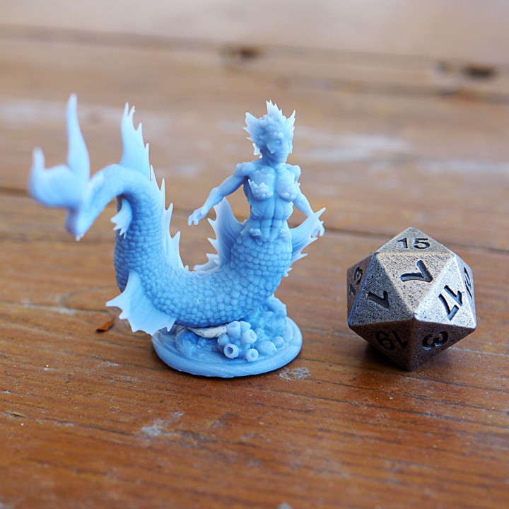 3D Printable Mermaid by La Louve 3D