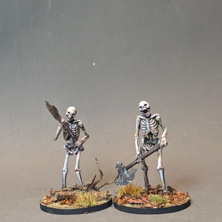 3D Print of Skeleton Axemen - Book of Beasts - Tabletop Miniatures (Pre ...