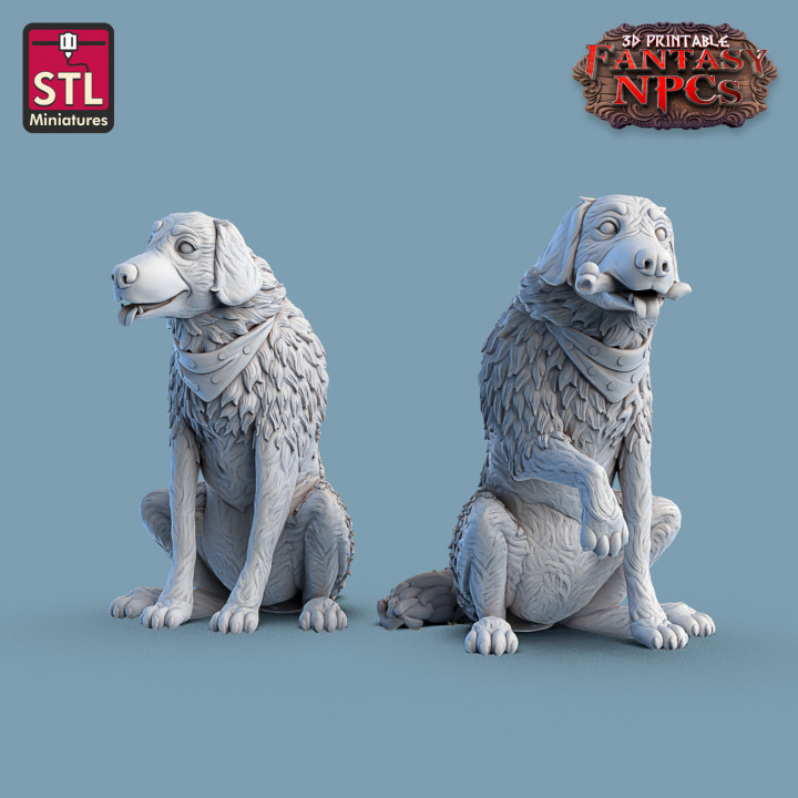 3D Printable Fantasy NPCs - SG4 Individual Characters by STL Miniatures