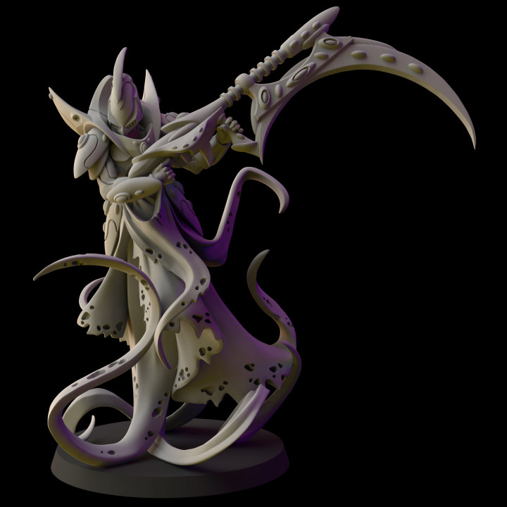 3D Printable The Outsider Lord by Fantasy Cult Miniatures