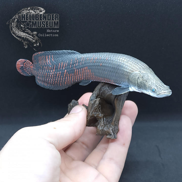 3D Printable Freshwater Monsters Giant Fish Multipack by Hellbender Museum