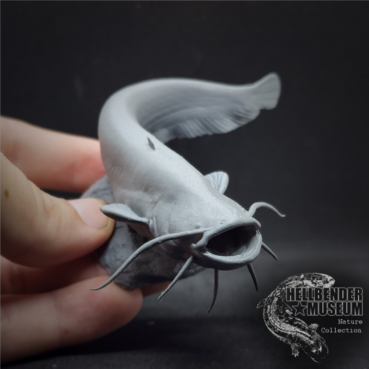 3D Printable Freshwater Monsters Giant Fish Multipack by Hellbender Museum