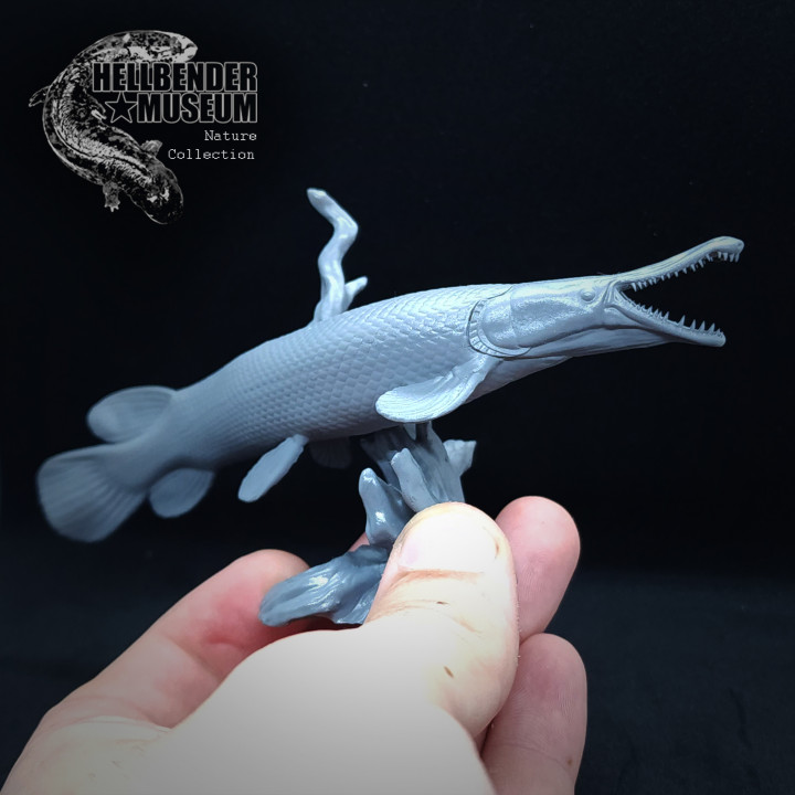 3D Printable Freshwater Monsters Giant Fish Multipack by Hellbender Museum