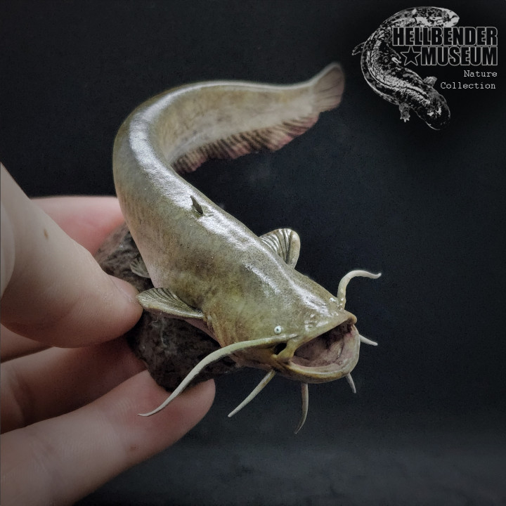 3D Printable Freshwater Monsters Giant Fish Multipack by Hellbender Museum