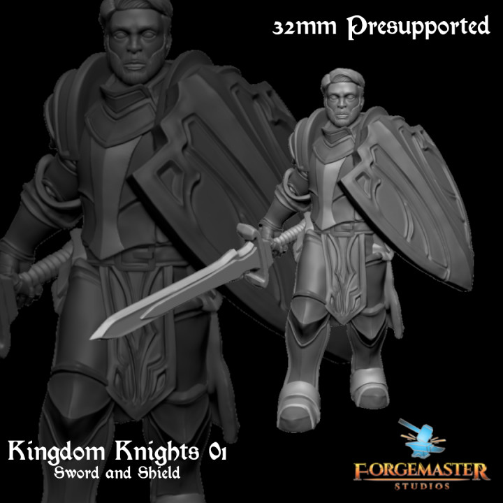 3D Printable Human Knight - Kingdom Knights 01 Sword and Shield by ...