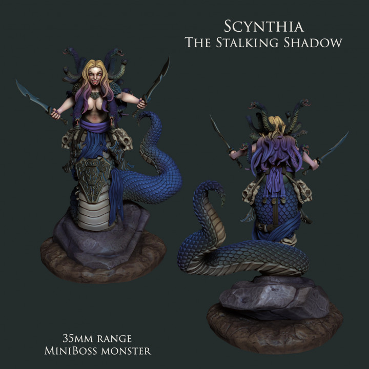 3D Printable Scynthia The Stalking Shadow by Ronin Arts Workshop
