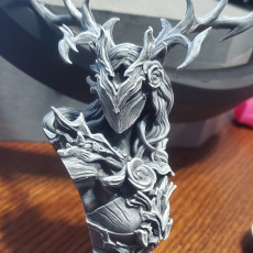 3D Printable Bust - Lady of the Grove by Witchsong Miniatures