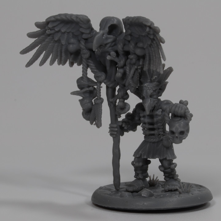 3D Printable Classic Goblin - Bird Shaman by Runeforge Studios
