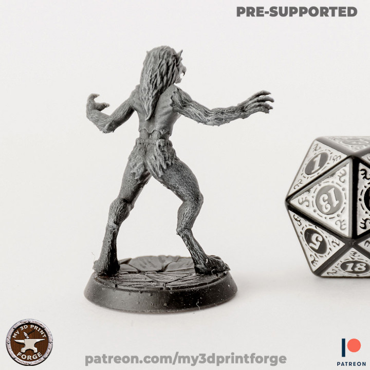 3D Printable Female Werewolves Pack 3 models by My3DPrintForge