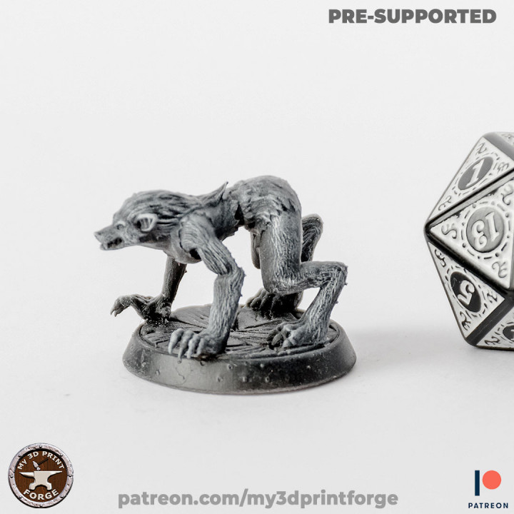 3D Printable Female Werewolves Pack 3 models by My3DPrintForge