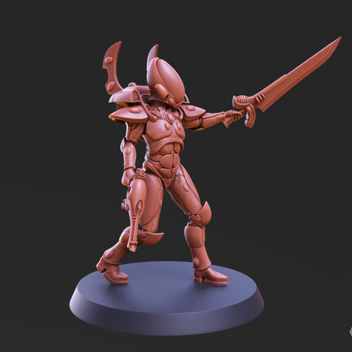 3D Printable Space Elf Male Soldier Pose 4 - 8 Variants by PSMiniatures