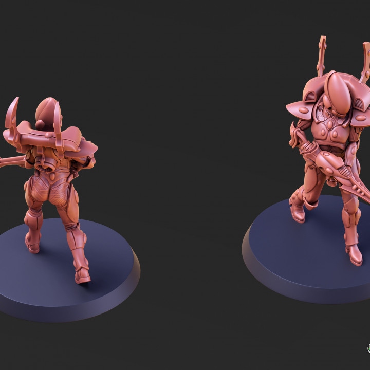 3D Printable Space Elf Male Soldier Pose 4 - 8 Variants by PSMiniatures