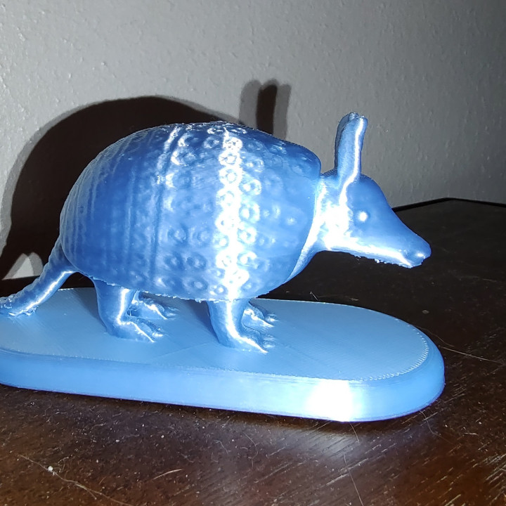 3D Print of Armadillo by instagig