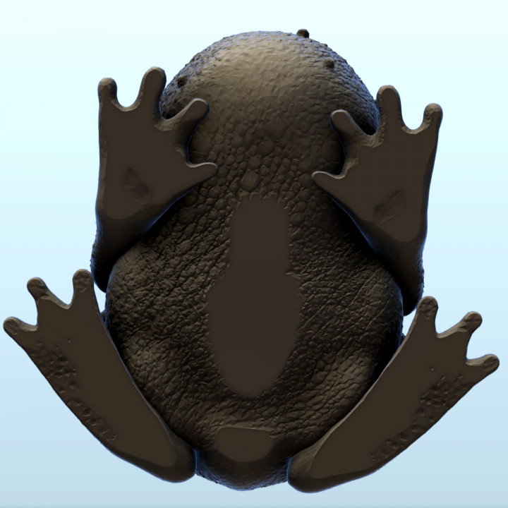 3D Printable Giant frog (+ pre-supported version) (8) - Darkness Chaos ...