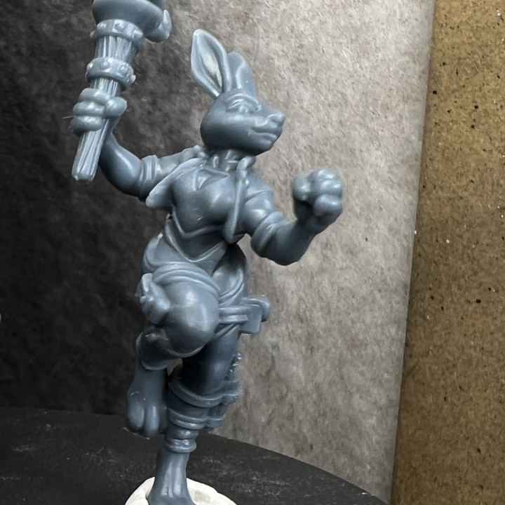3D Print of Bunnykin of Luminaria (harengon Wizard, harengon paladin ...