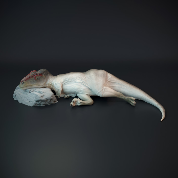 3D Printable Meraxes Gigas sleeping dinosaur by Dino and Dog
