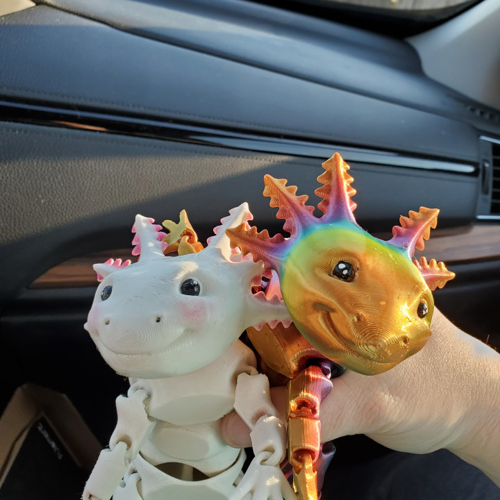 3D Print of Adorable Articulated Axolotl, Print-In-Place Body, Snap-Fit ...