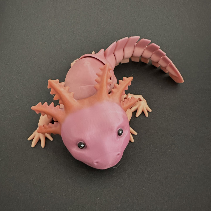 3D Print of Adorable Articulated Axolotl, Print-In-Place Body, Snap-Fit ...