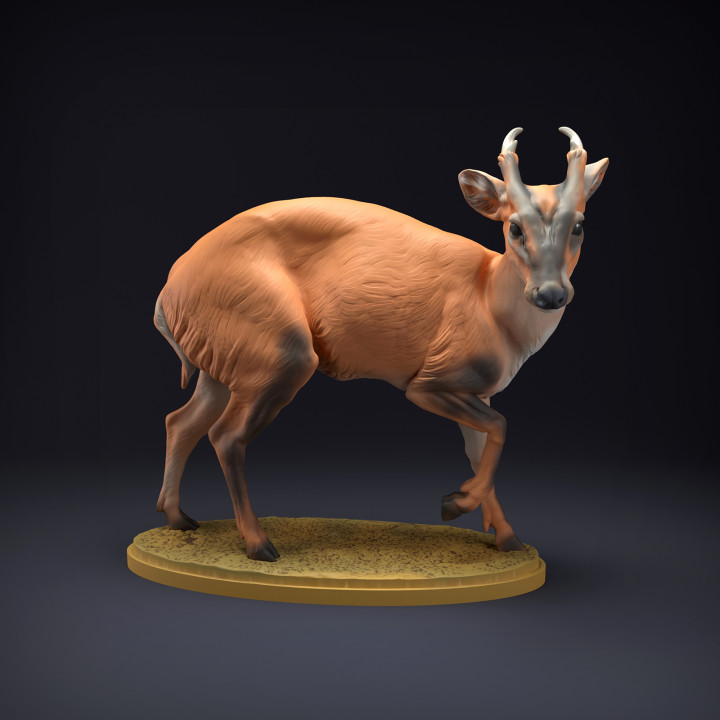 3D Printable Muntjac Deer by Animal Den Miniatures