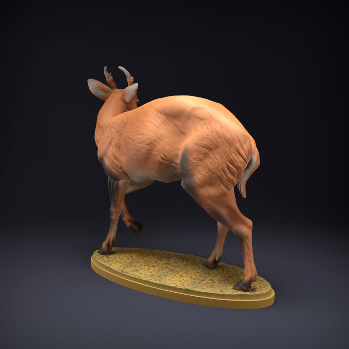 3D Printable Muntjac Deer by Animal Den Miniatures