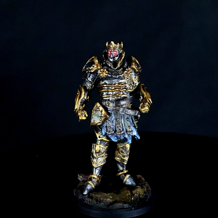 3D Print of Shadow General + Armored Dire Wolf by chrissouthard