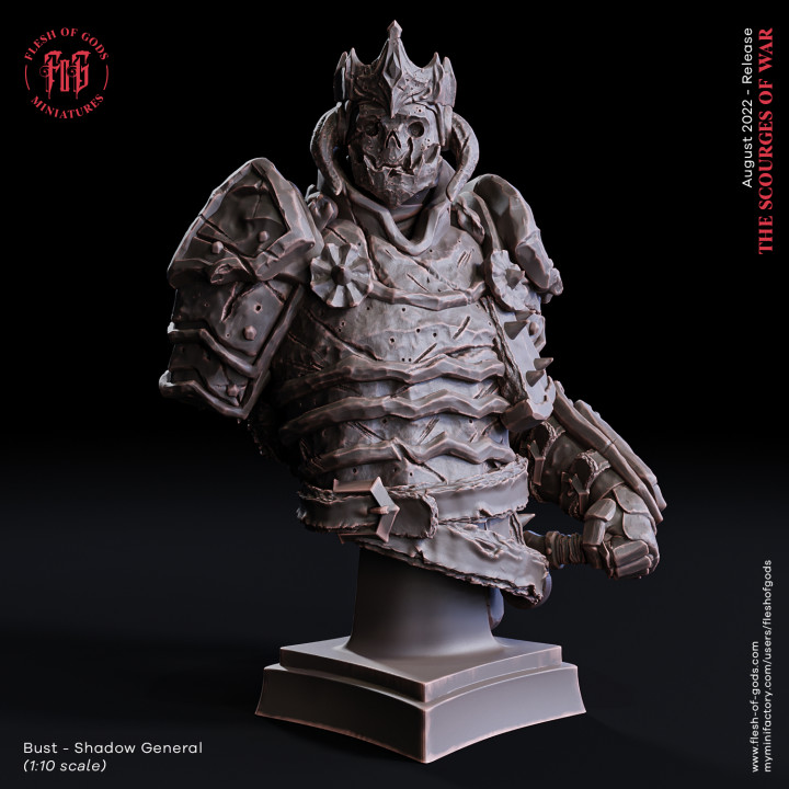 3D Printable Shadow General - Bust by Flesh of Gods