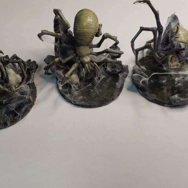 3D Print of Cave Spiders x 3 by kaidanlawson