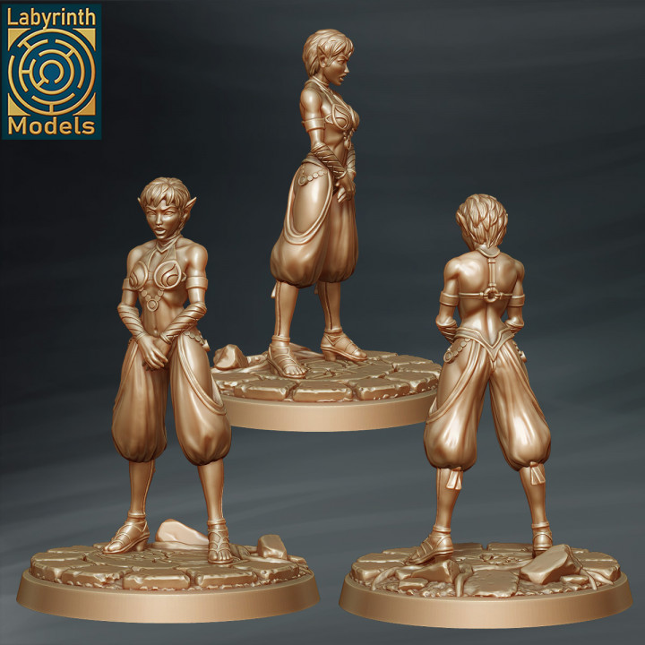 3D Printable Dark Elf Citizens Collection - 32mm scale by Labyrinth Models