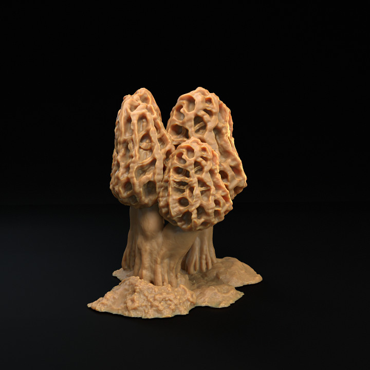 3d Printable Mushroom Forest Terrain Presupported Mushroom Bayou By