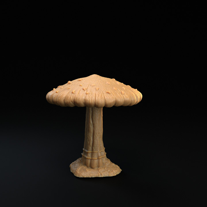 3d Printable Massive Mushroom Trees Terrain Presupported Mushroom