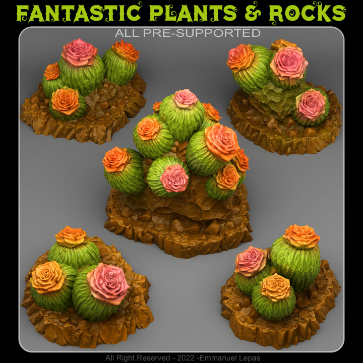3D Printable CACTUS FLOWERS by Fantastic Plants And Rocks
