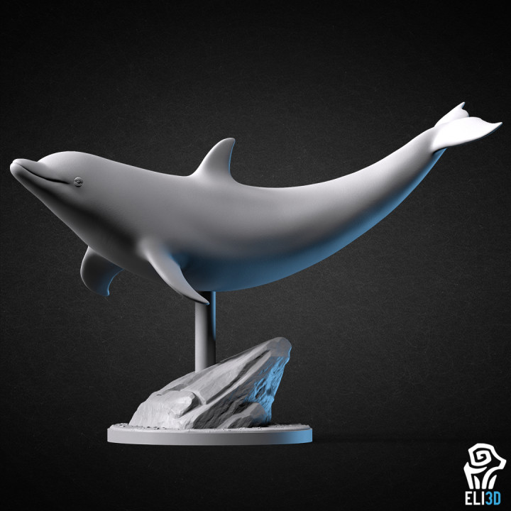 3D Printable Dolphin - Animal by ELI 3D
