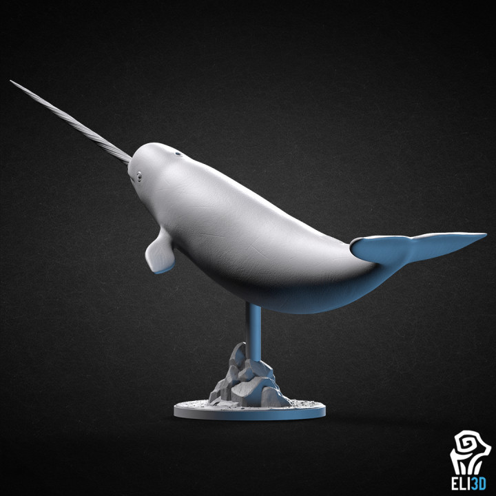 3D Printable Narwhal - Animal by ELI 3D