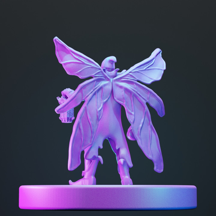3D Printable Healing Sprite - Pre Supported by Tom's Twisted Tavern