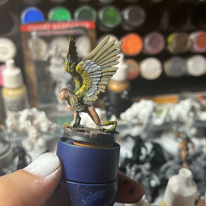 3D Print of Crouched Harpy - Tabletop Miniature (Pre-Supported) by ...