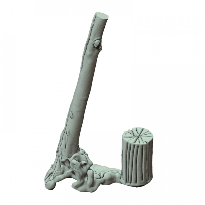 3D Printable Tree trunk and stump by Sculpting George