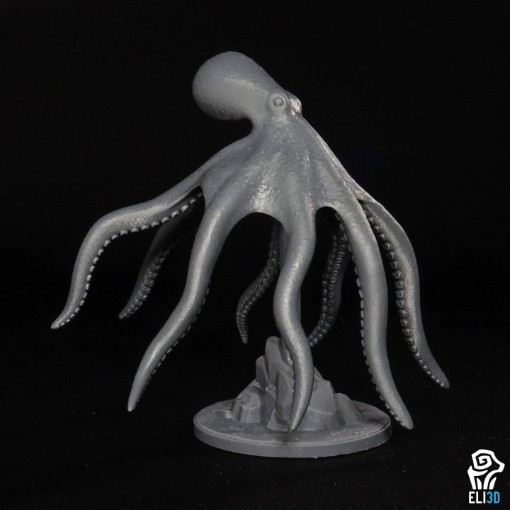 3D Print of Octopus by eli3D