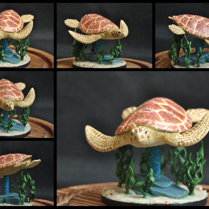 3D Print of Sea Turtle - Animal by GrumpyKaiman