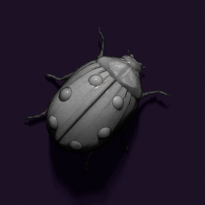 3D Printable LADYBUG TOY by Viktoriya Kabanova
