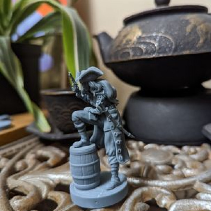 3D Printable Kate Pistol Marksman Pirate Marksman Pistol Gunner -75mm ...