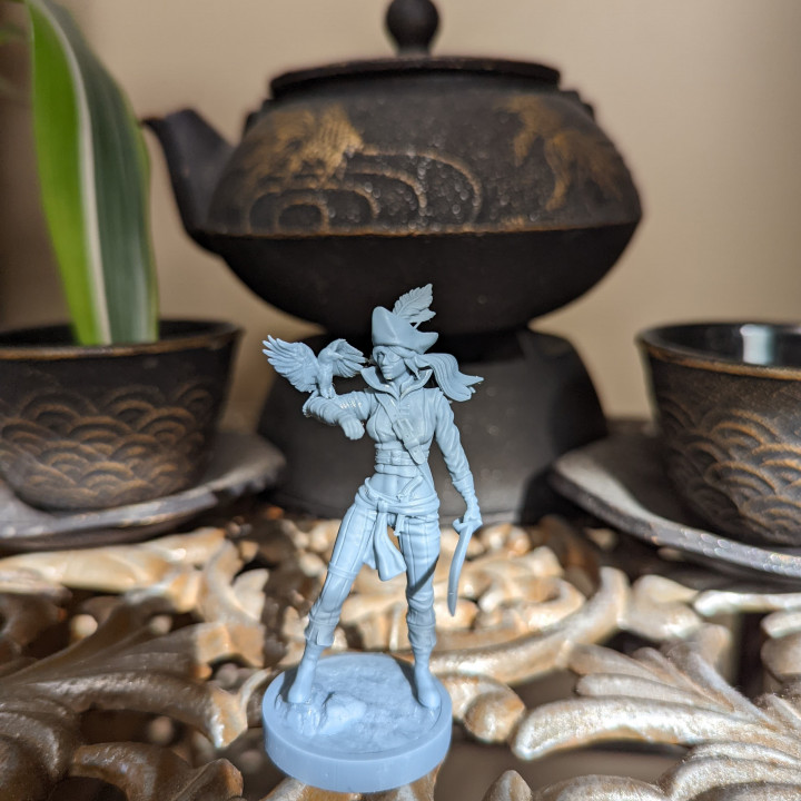 3D Printable Parrot Pirate Robin - Pirate Captain with Parrot - 75mm ...