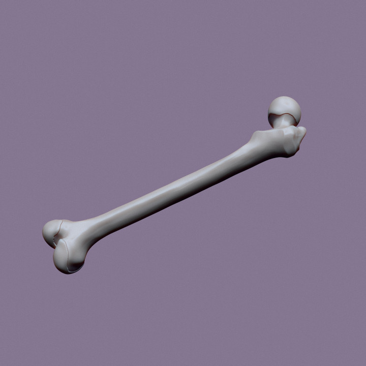 3D Printable human femur by Viktoriya Kabanova
