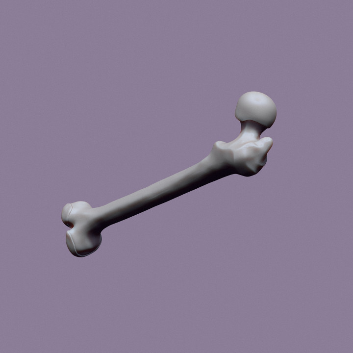 3D Printable human femur by Viktoriya Kabanova