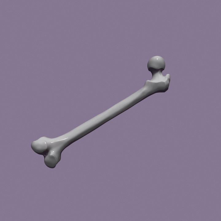 3D Printable human femur by Viktoriya Kabanova